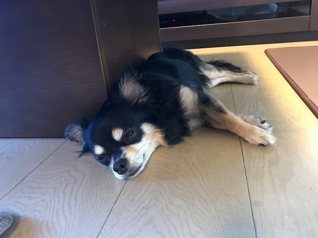 朝から暑い: Gaining Through Losing